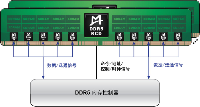 M88DR5RCD01 | 澜起科技
